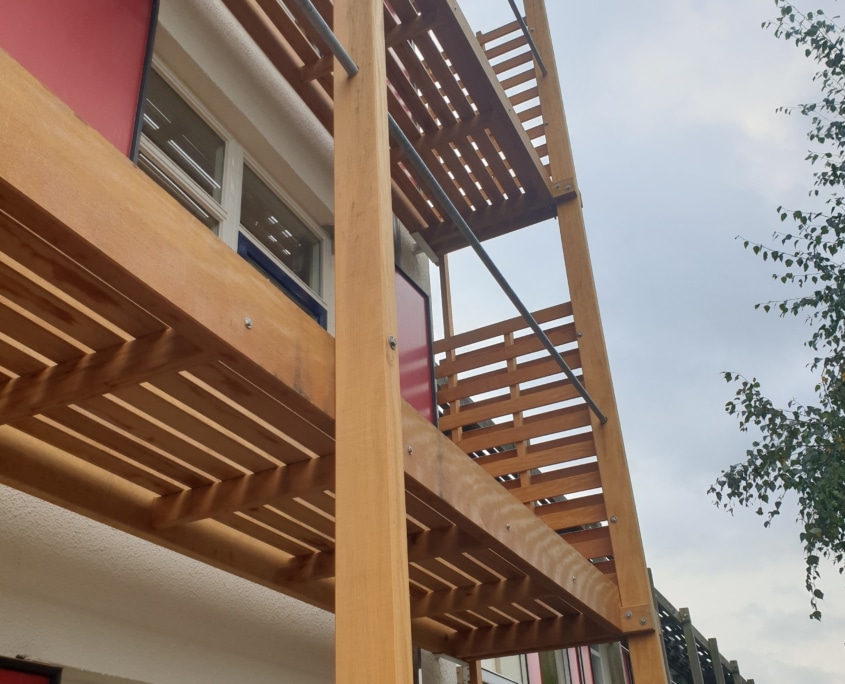 Bilinga hout - Bekijk de vele mogelijkheden - Boogaerdt Hout