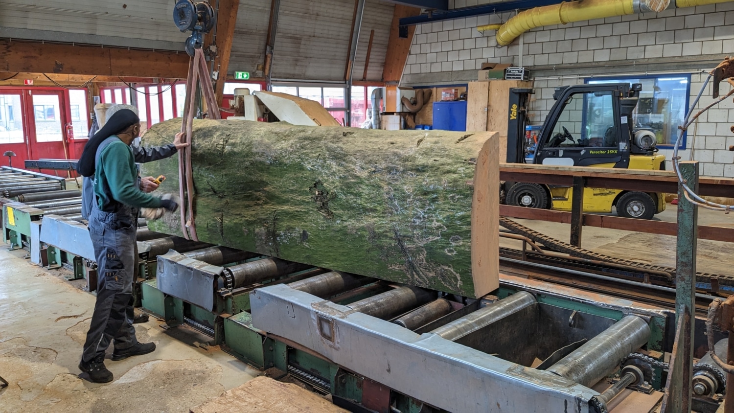 Bilinga hout - Bekijk de vele mogelijkheden - Boogaerdt Hout