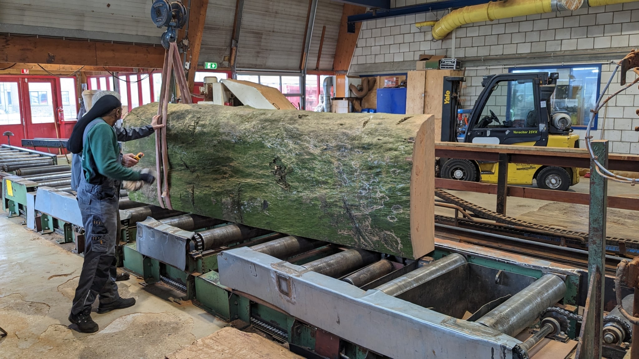 Bilinga hout - Bekijk de vele mogelijkheden - Boogaerdt Hout