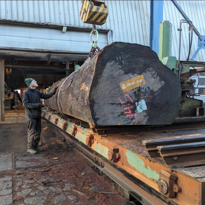 Bilinga hout - Bekijk de vele mogelijkheden - Boogaerdt Hout